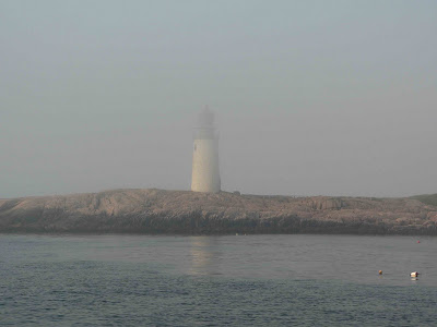 Last I checked…. – The Adventures of Discovering your Purpose at 40 ...